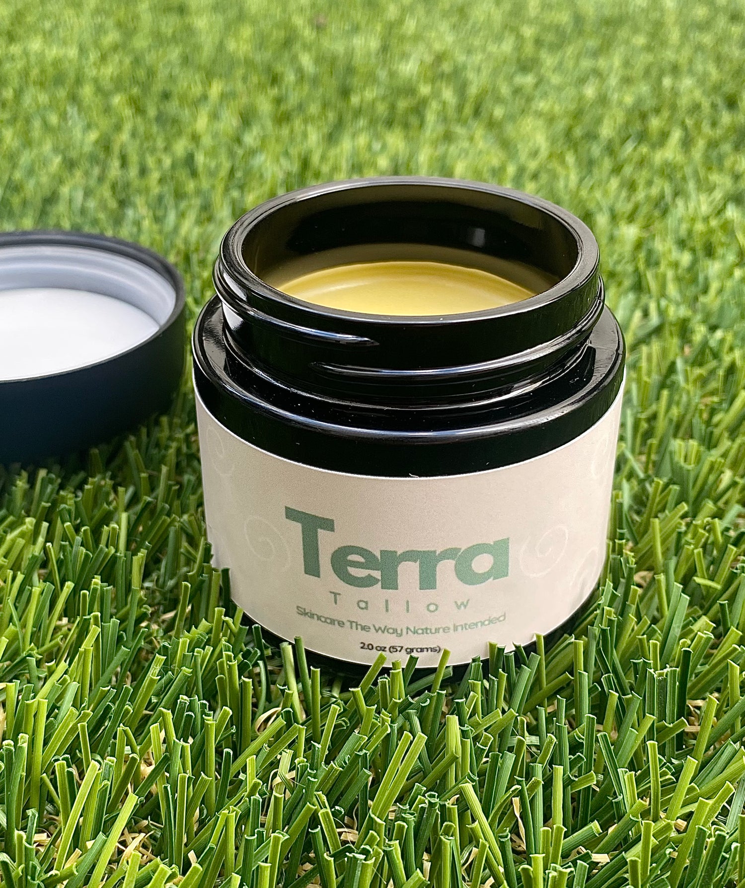 Collections – Terra Tallow